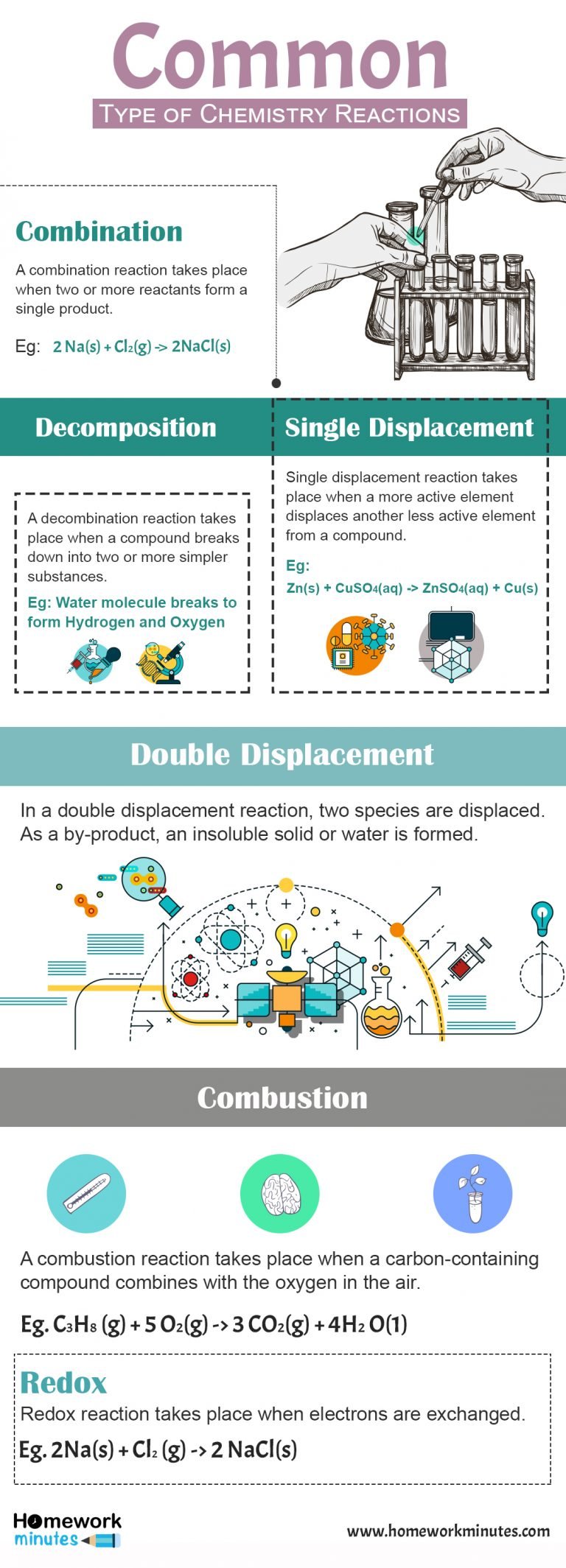 Common Types of Chemistry Reactions - Homework Minutes - Infographics